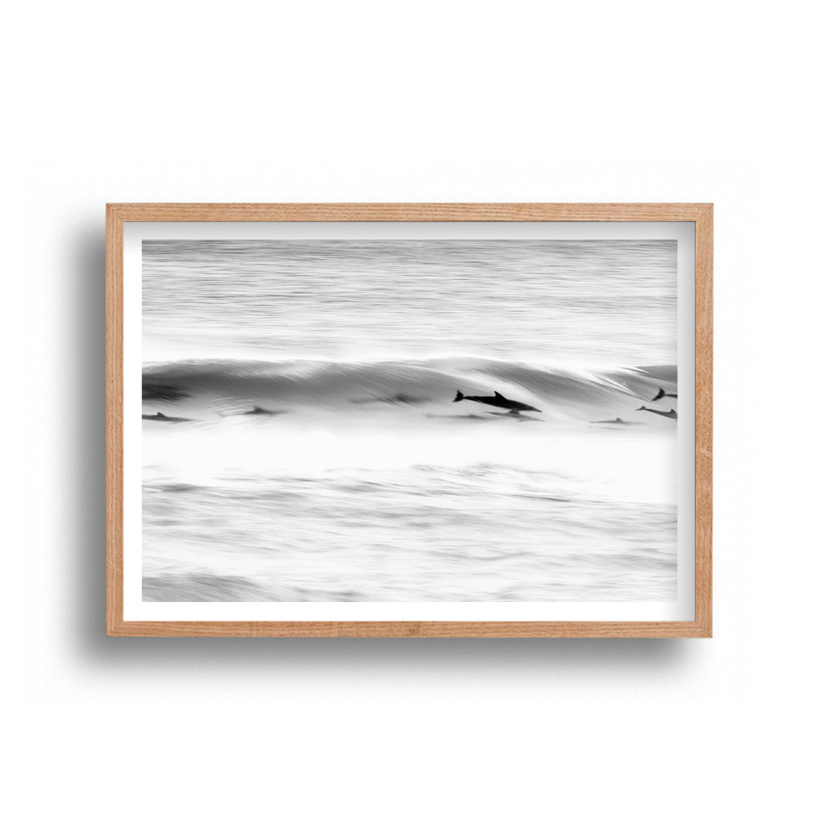 Tom Hoy - Dolphin Flow – Mitch Revs Gallery